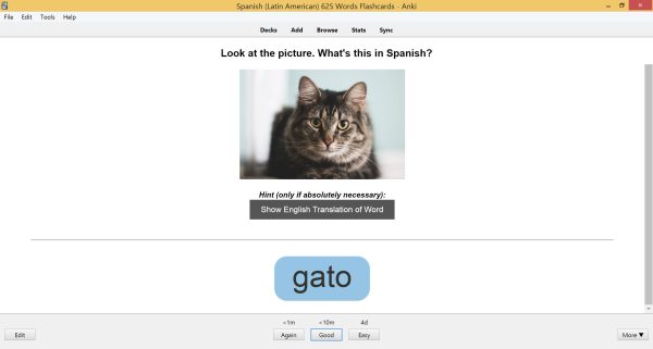625 Words Anki Flashcards to Start Learning a Language Now – SPEAKADA