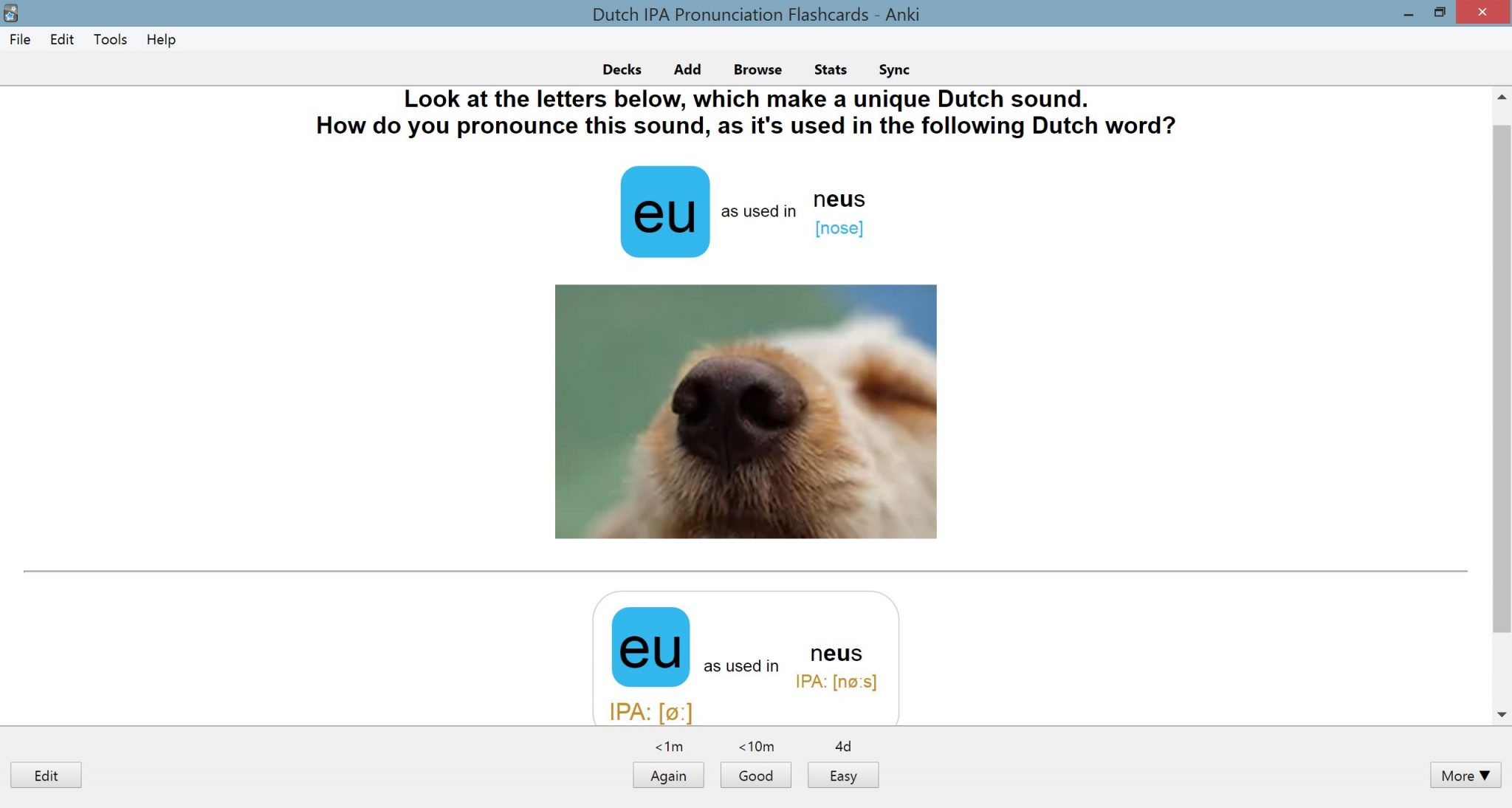 Dutch Pronunciation Guide: Dutch IPA Flashcards | SPEAKADA