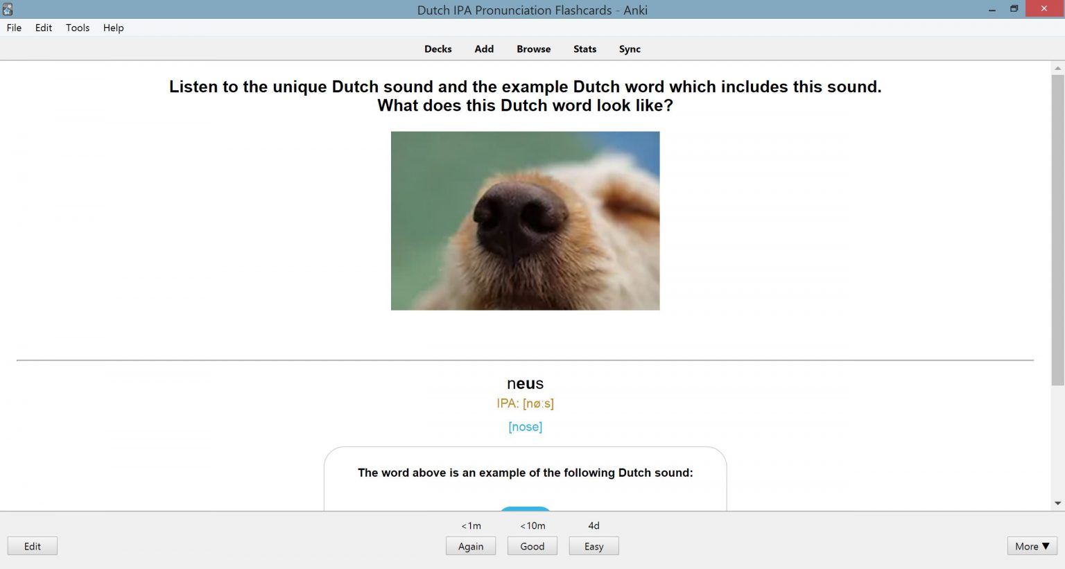 How to Use Anki for Language Learning – SPEAKADA