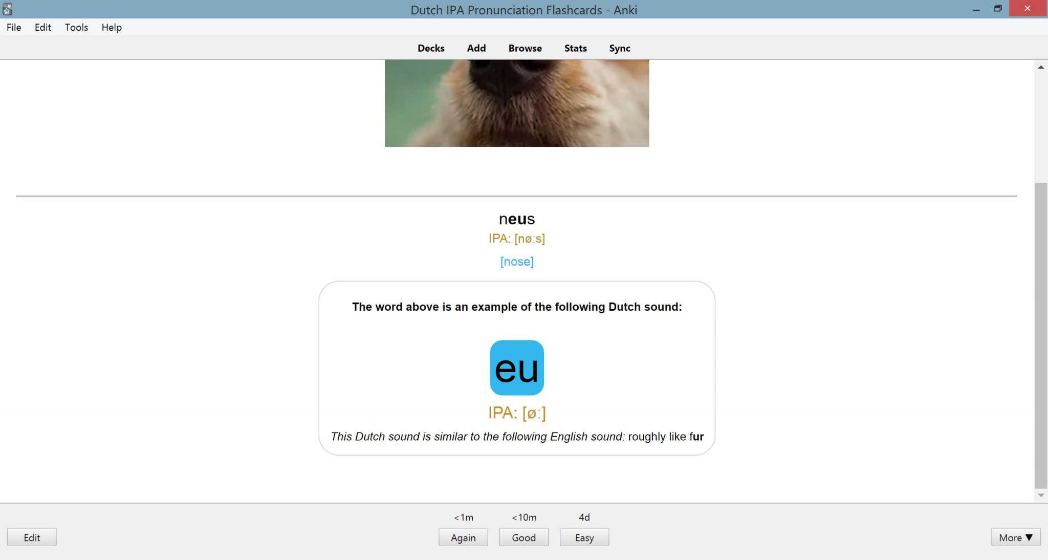 Dutch Pronunciation Guide: Dutch IPA Flashcards | SPEAKADA